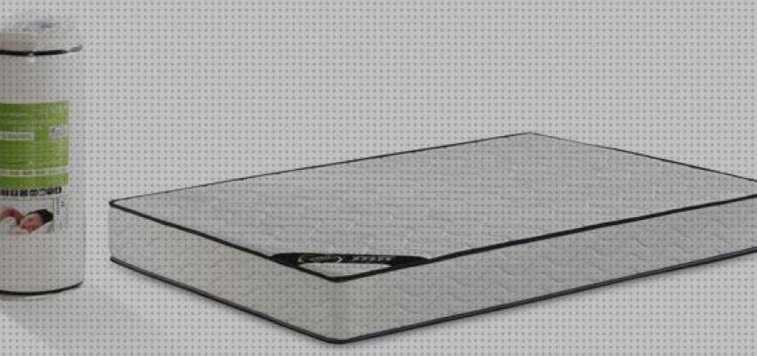 Top 13 Mejores COLCHONES ENROLLABLES ORTOPEDICOS | (Julio 2021) | Guía ...