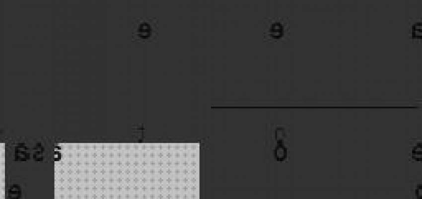 ⊛ 4 Mejores Ortesis Dinamicas De Wynn Parry Para Cubital 【Opiniones】